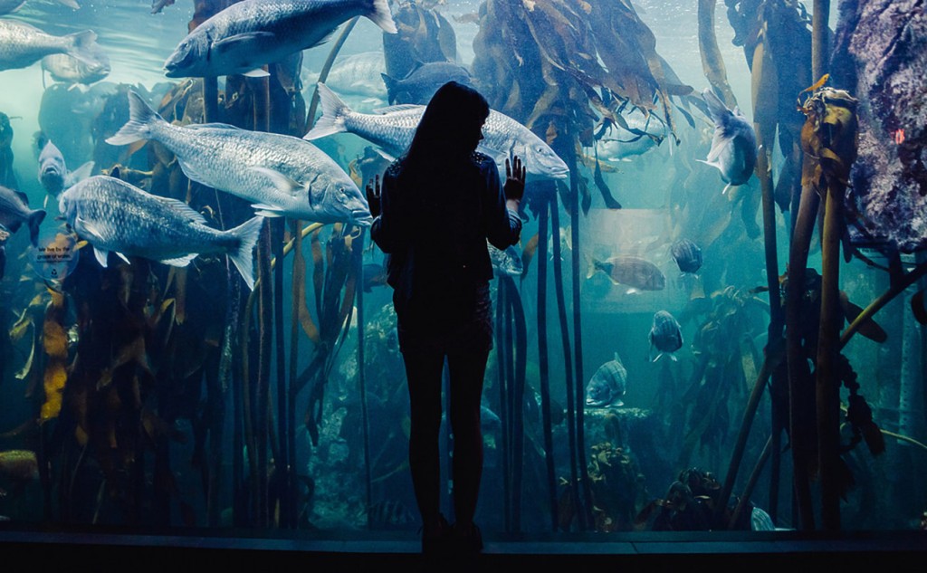 Velvet Eyes ~ Contemporary photography Zine