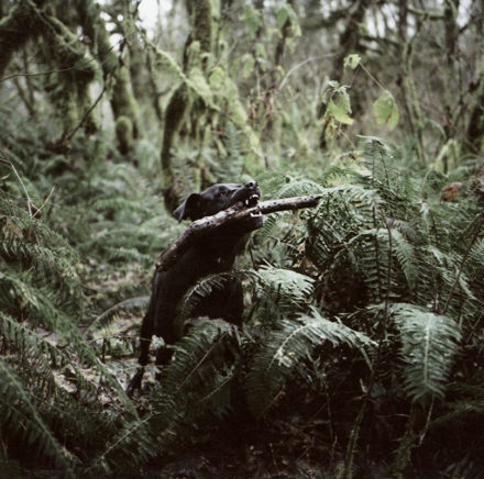 Jason Fiske ~ Velvet Eyes