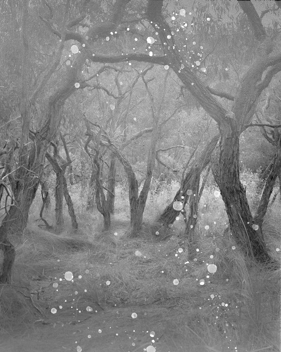 'Extraordinary Experiences' by Morganna Magee ~ Velvet Eyes