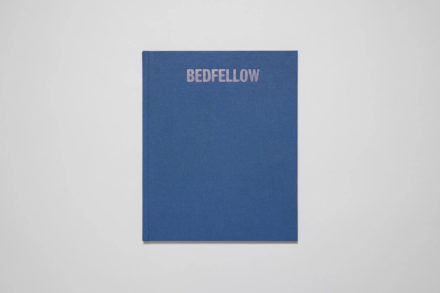 Bedfellow by Caroline Tompkins ~ Velvet Eyes