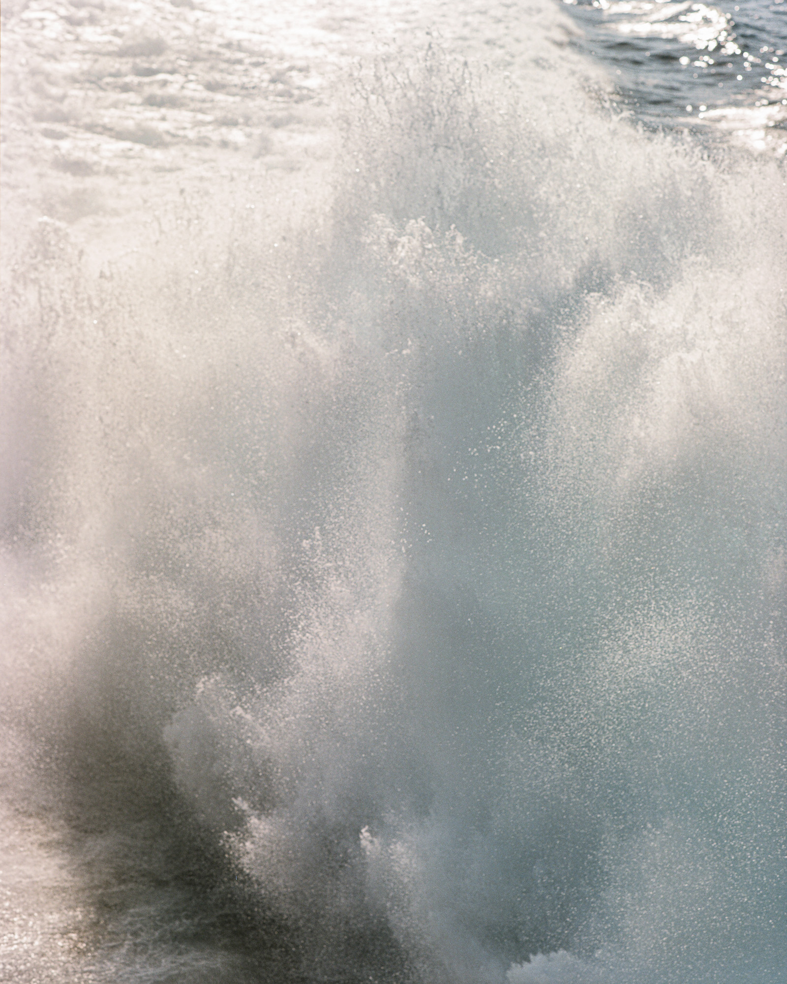 'Anatomy Of An Oyster' by Rita Puig–Serra ~ Velvet Eyes