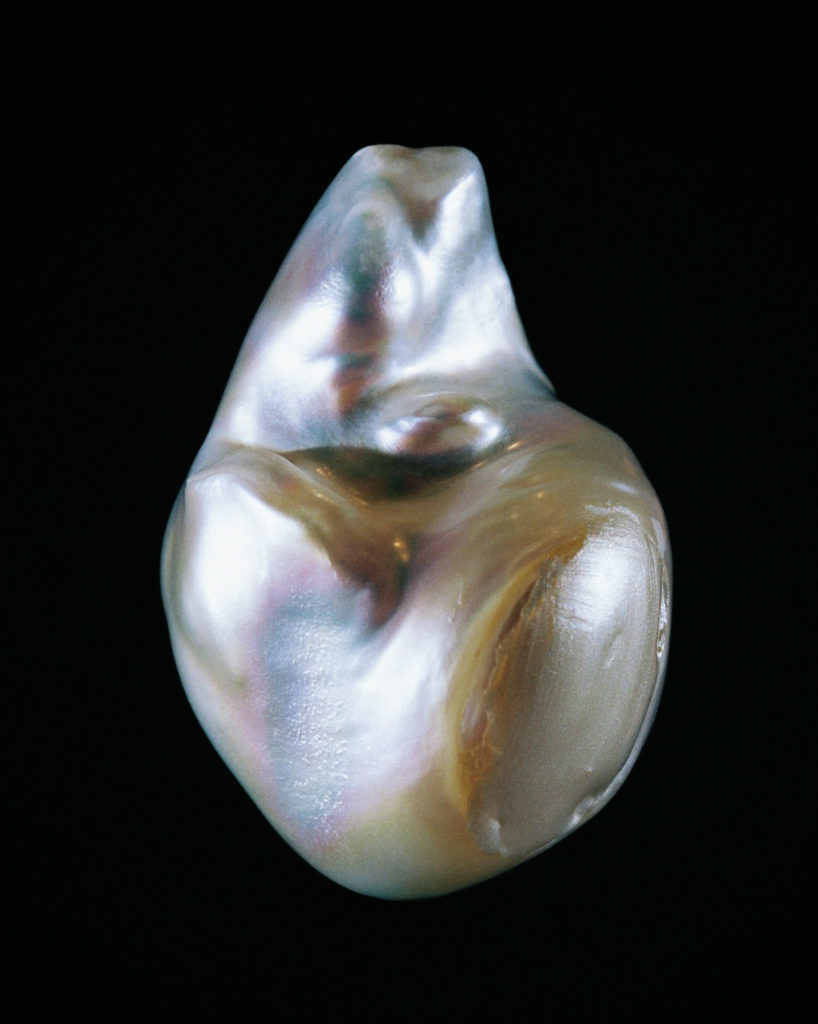 'Anatomy Of An Oyster' by Rita Puig–Serra ~ Velvet Eyes