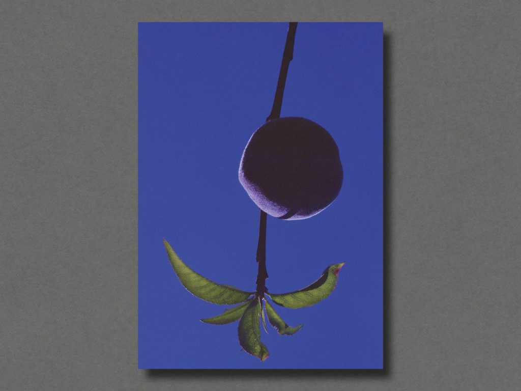 Velvet Eyes ~ Contemporary photography Zine