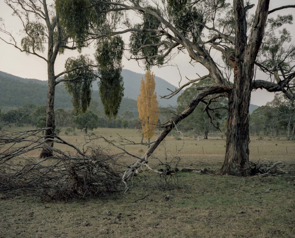 'Nucleo' by Wouter Van de Voorde ~ Velvet Eyes